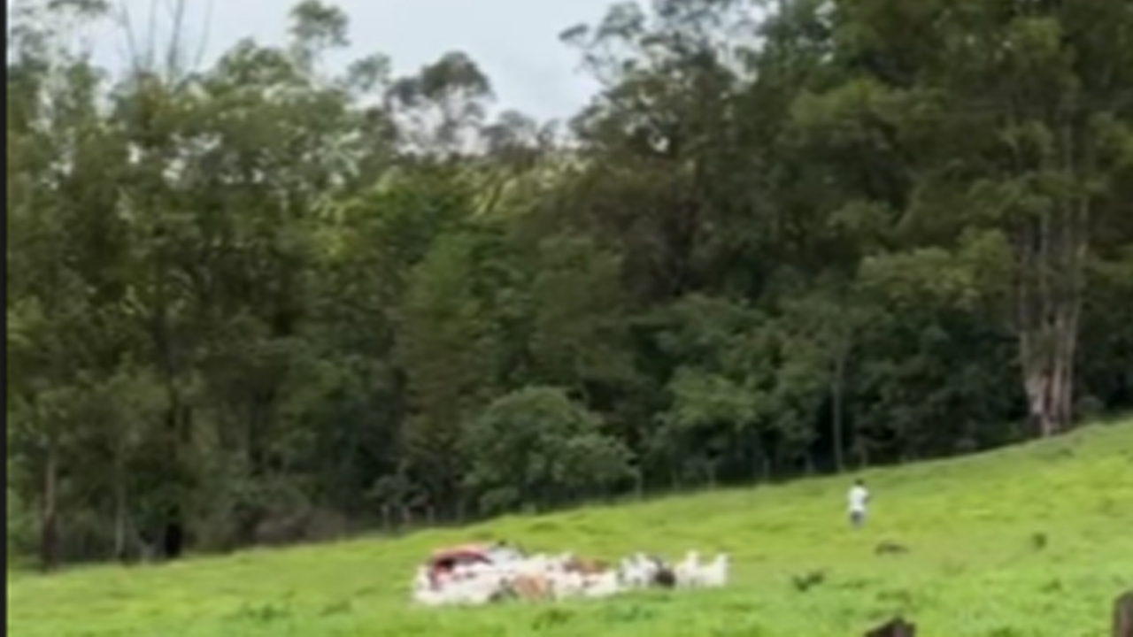 Carro sai de estrada rural e cai em pasto